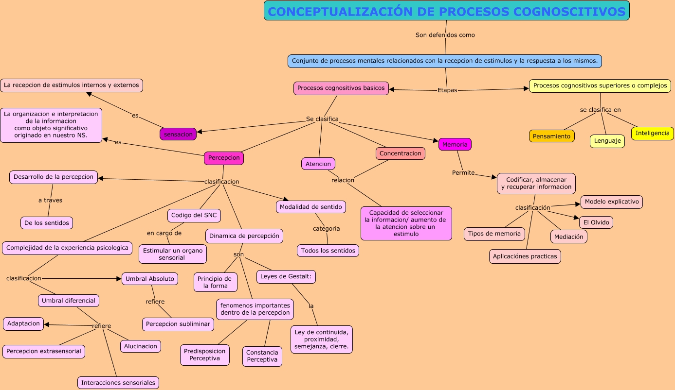conceptualizacion de procesos cognositivos